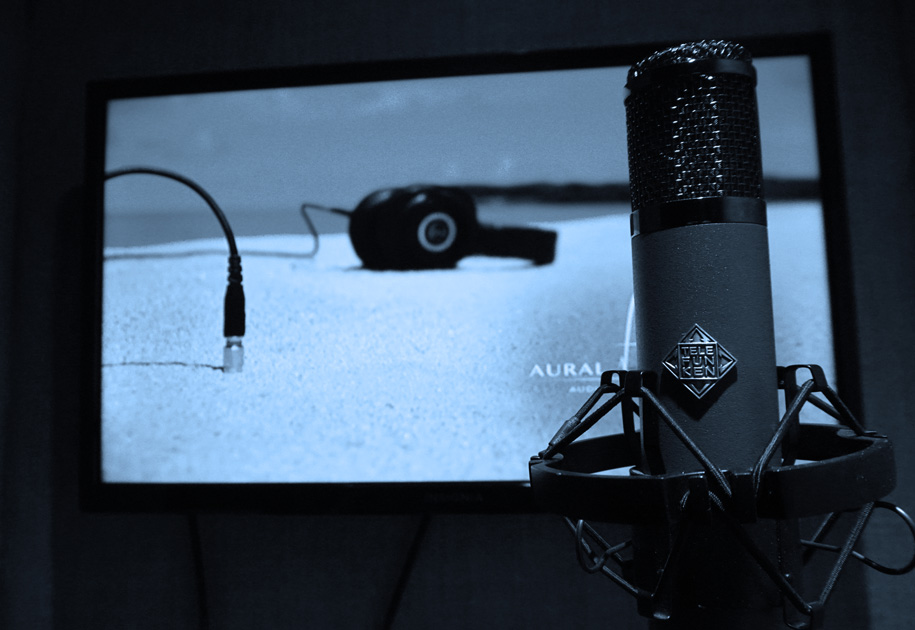 Aural Mind Audio - Servicios